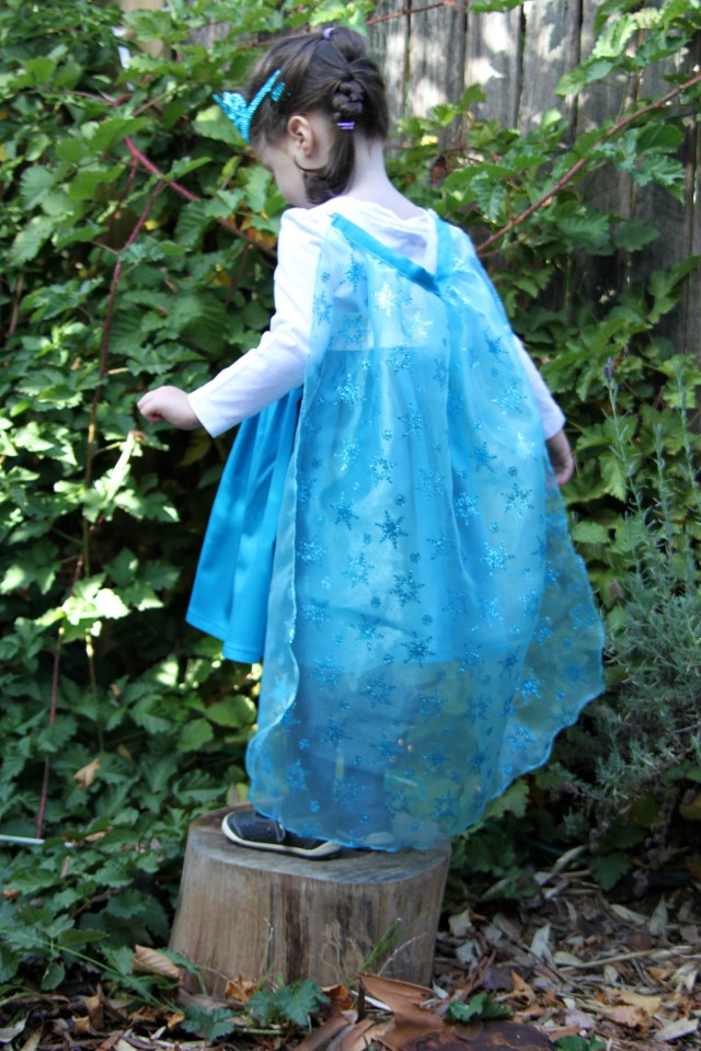 A dress for Elsa | ruth plus two